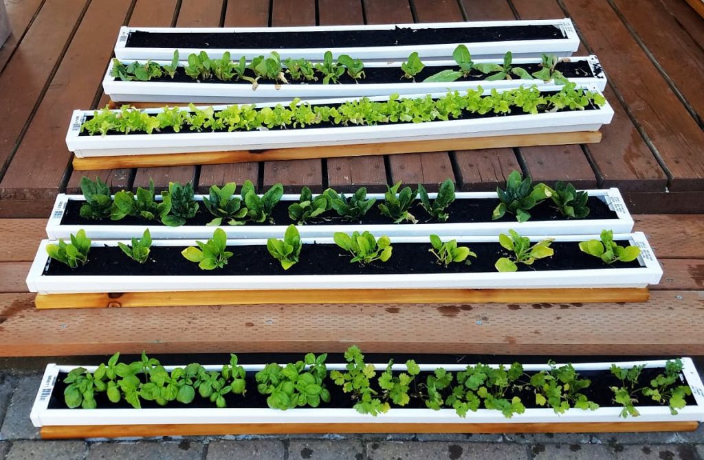 Vertical Garden with Removable Rain Gutter Planters (Step-by-Step DIY)