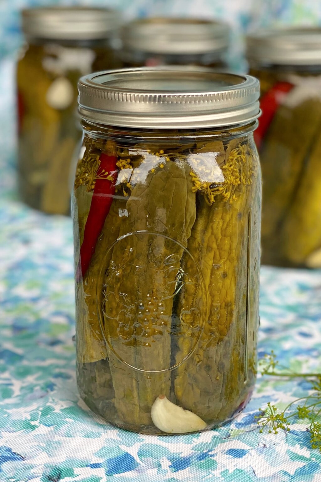 Pop's Spicy Garlic Dill Pickles Recipe • The Good Hearted Woman